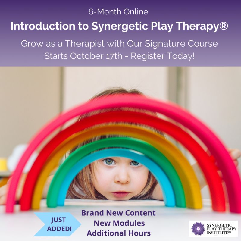 Introduction to Synergetic Play Therapy