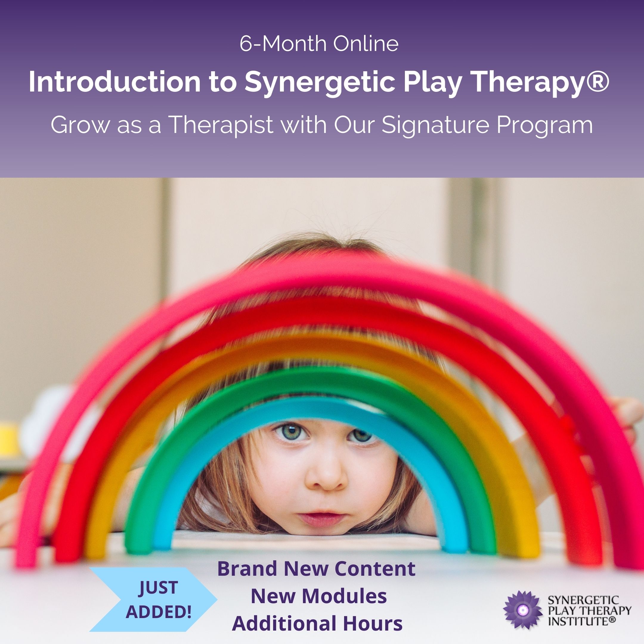 Introduction to Synergetic Play Therapy
